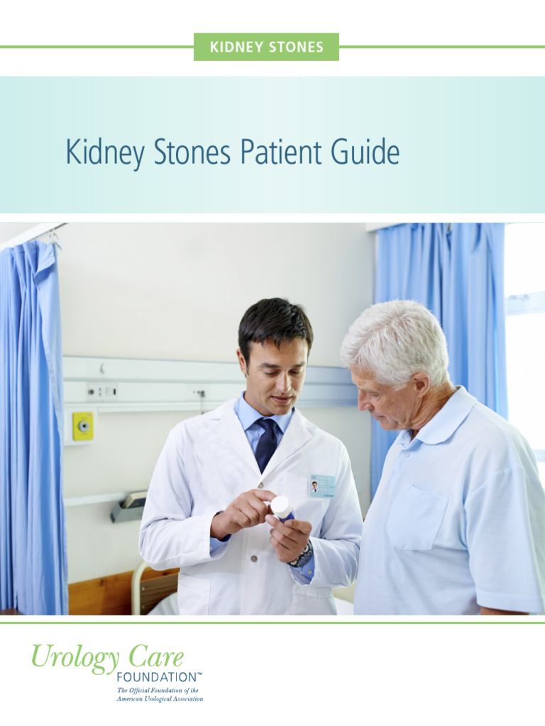 Kidney Stones Patient Guide | PDF | Urine | Kidney