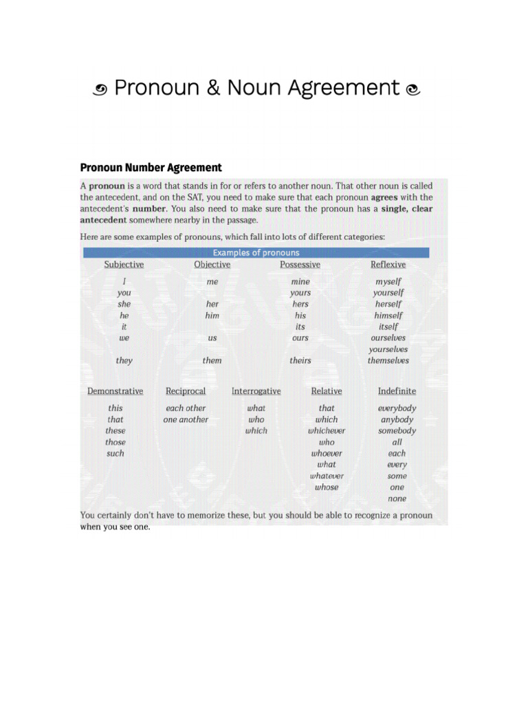 2 - Pronoun Noun Agreement | PDF