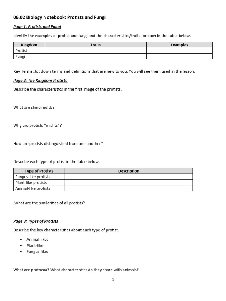 06 02 Protists and Fungi | PDF | Fungus | Nature