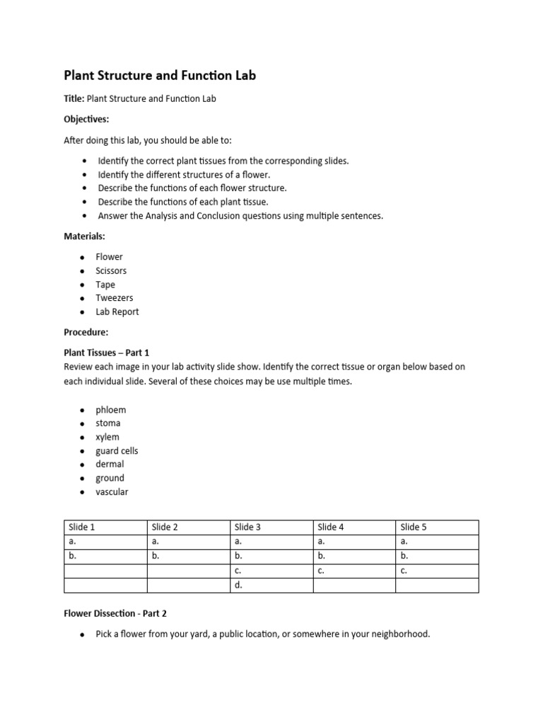 Virtual Plants Lab Report | PDF | Flowers | Tissue (Biology)