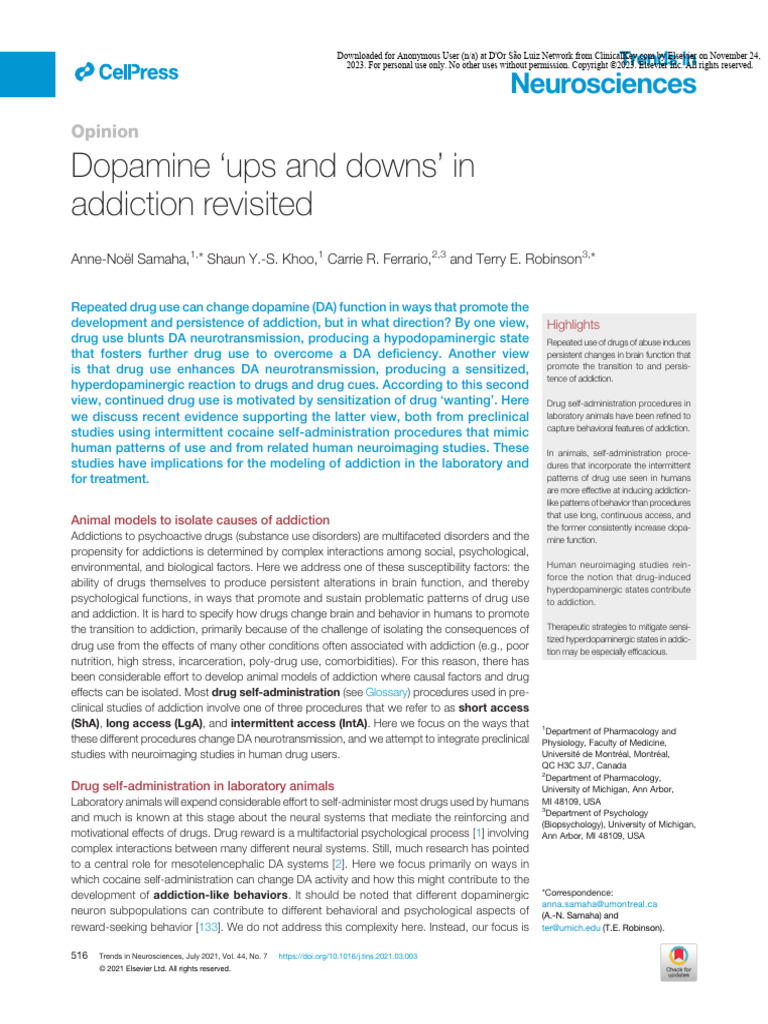 Dopamine | PDF | Reward System | Psychoactive Drugs