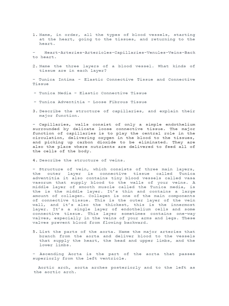 Review and Comprehension (Blood Vessel) | PDF | Vein | Aorta