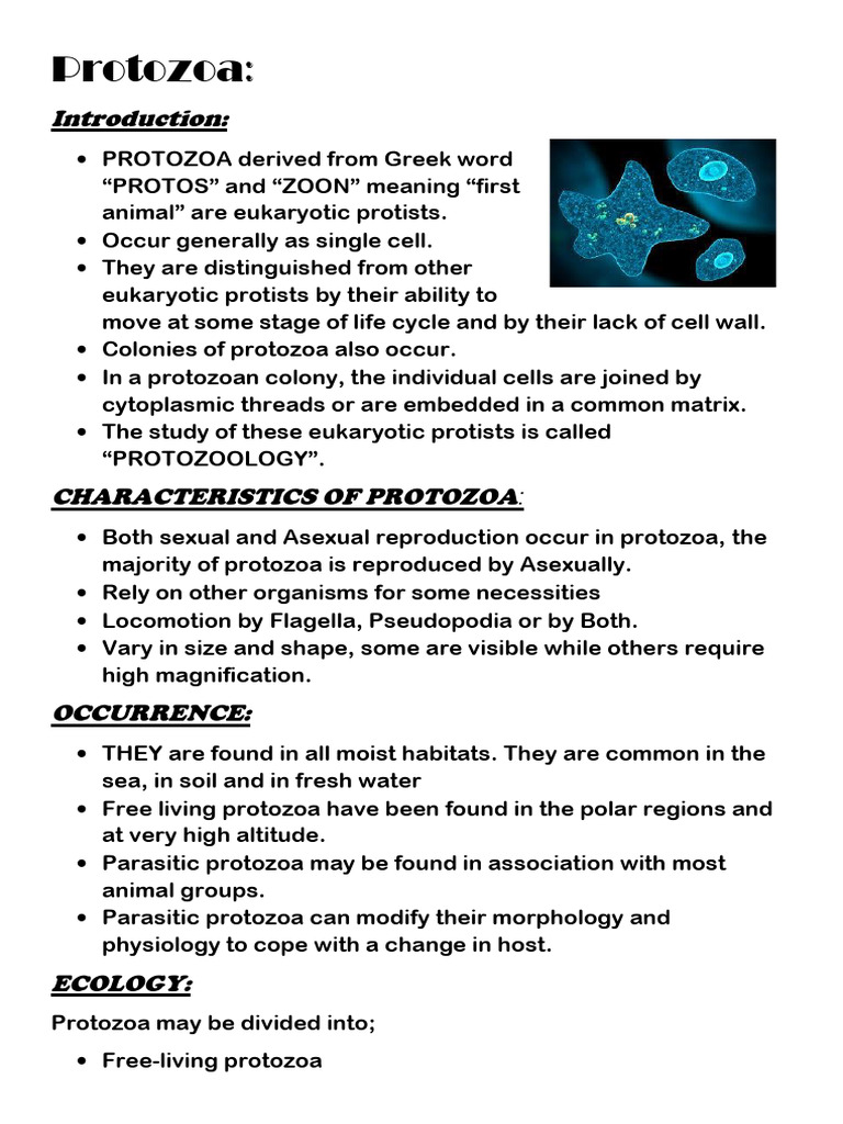 Protozoa | PDF | Protozoa | Cell (Biology)