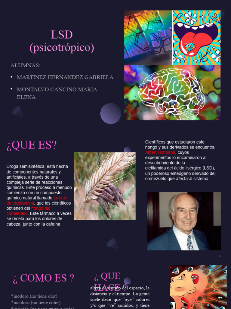 LSD Presentacion Expo Completa | PDF