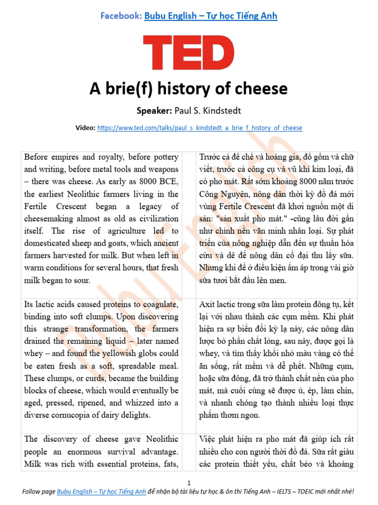 A Brie F History Of Cheese Pdf