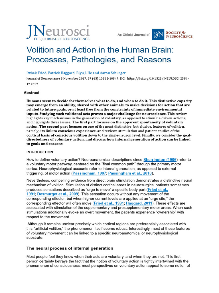 Volition and Action in The Human Brain | PDF | Prefrontal Cortex ...