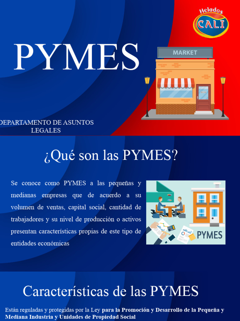 Pymes 2 | PDF | Pequeñas y medianas empresas | Negocios económicos
