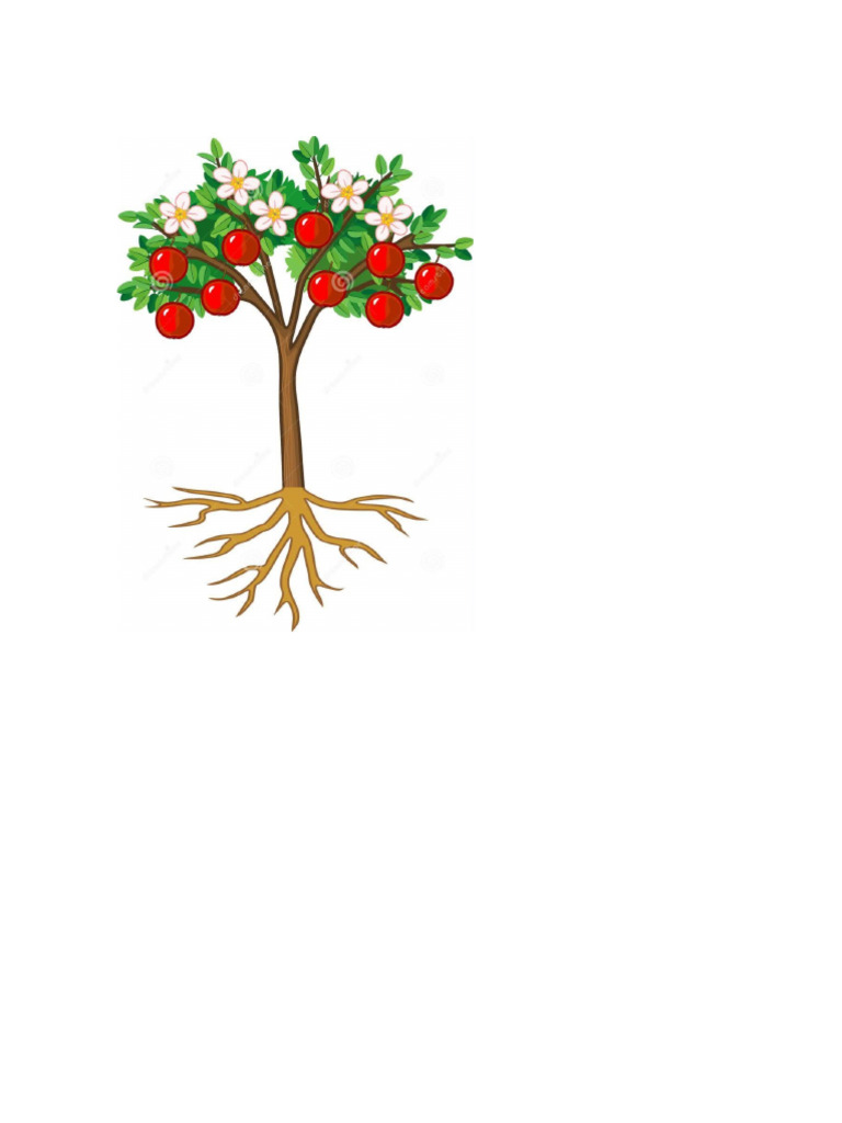 Documento (4) Arbol | PDF