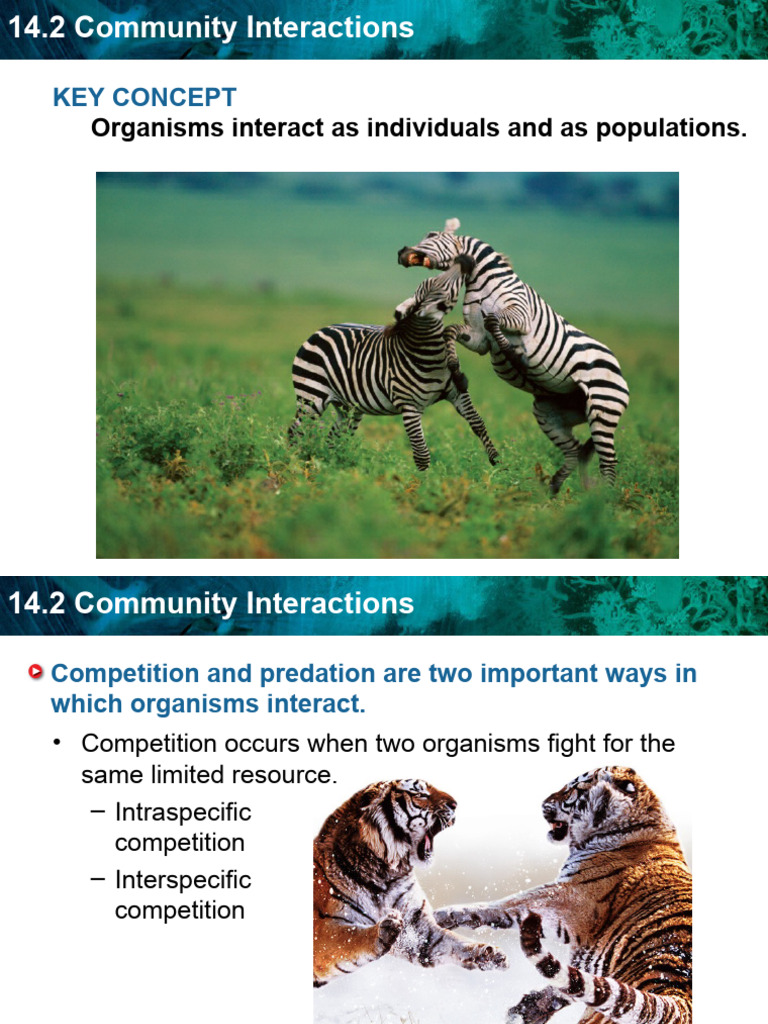 14.2 Community Interactions | PDF | Parasitism | Symbiosis