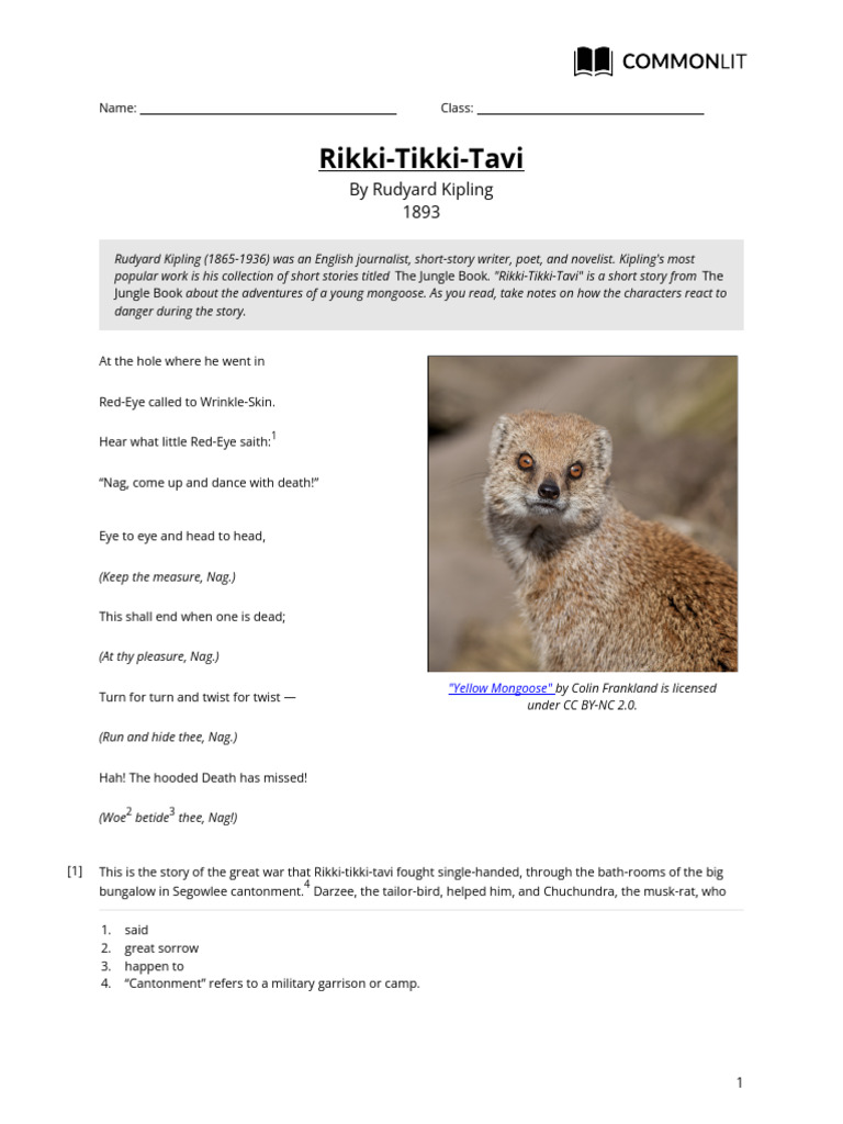 Rikki-Tikki-Tavi's Adventure | PDF | Young Adult | General Fiction