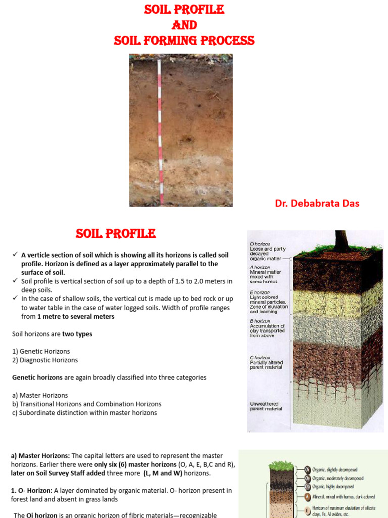 soil profile | PDF | Soil | Earth Sciences