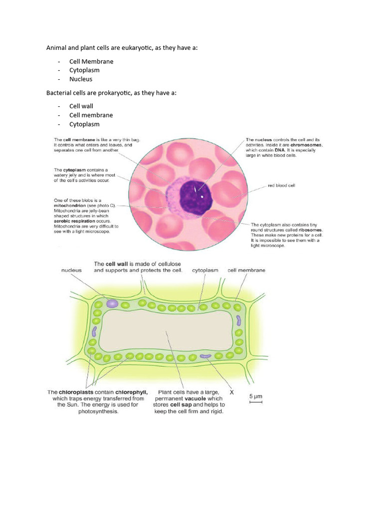 CB1 Part 1 2 | PDF | Science & Mathematics