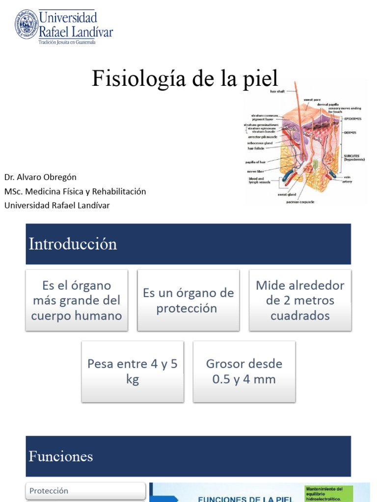 2 Fisiología de La Piel | PDF | Epidermis | Piel