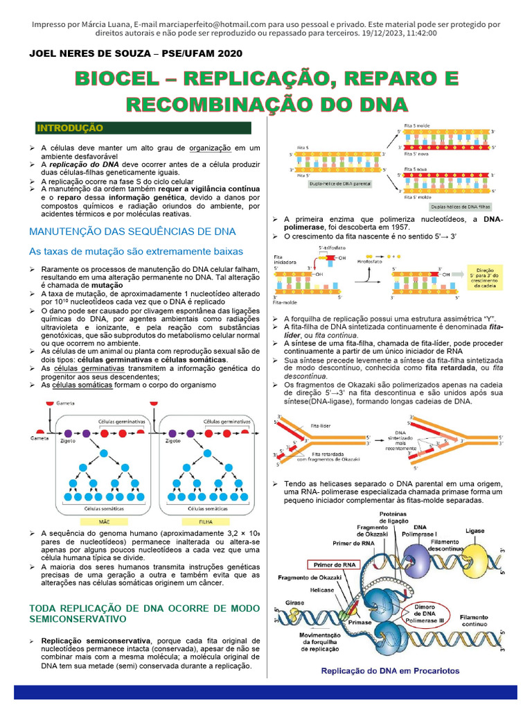 4 Replicação, Reparo e Recombinação Do Dna - Passei Direto | PDF ...