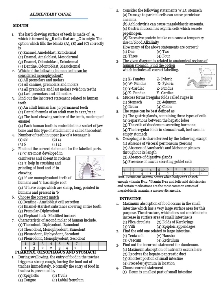 Digestion - Extra Question Answers - MCQ | PDF | Pancreas | Digestion
