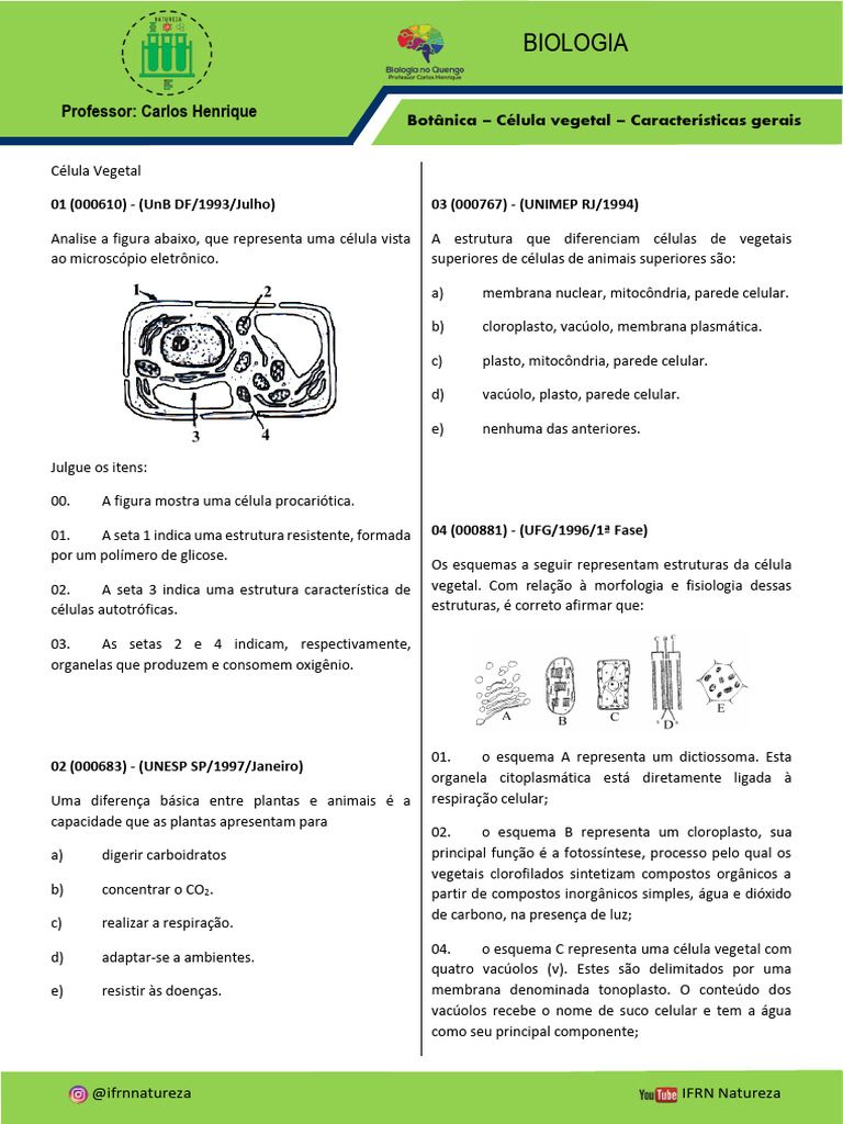 Botanica - Celula Vegetal | PDF | Célula (Biologia) | Plantas