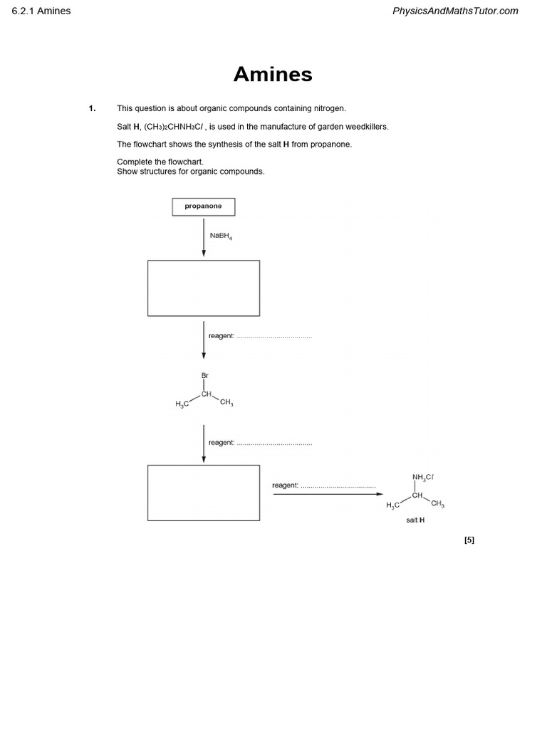 Organic Chemistry: Amines Synthesis Guide | PDF | Proton Nuclear ...