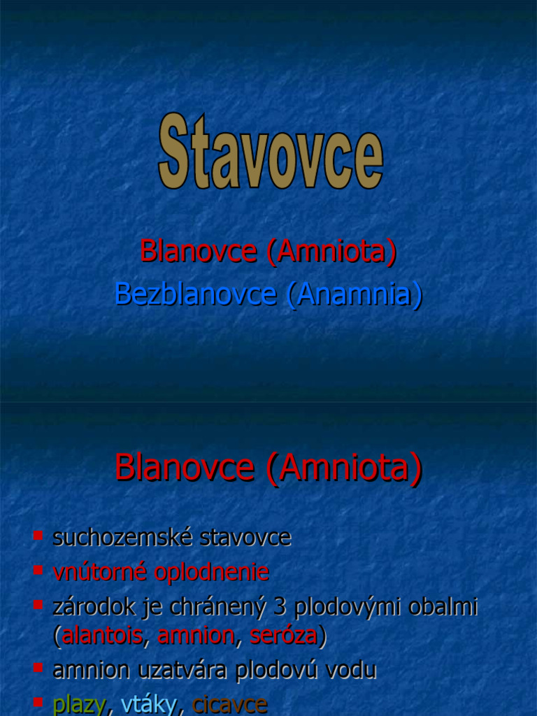 Stavovce - Plazy | PDF