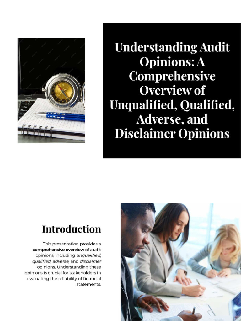 Audit Opinions A Comprehensive Overview | PDF