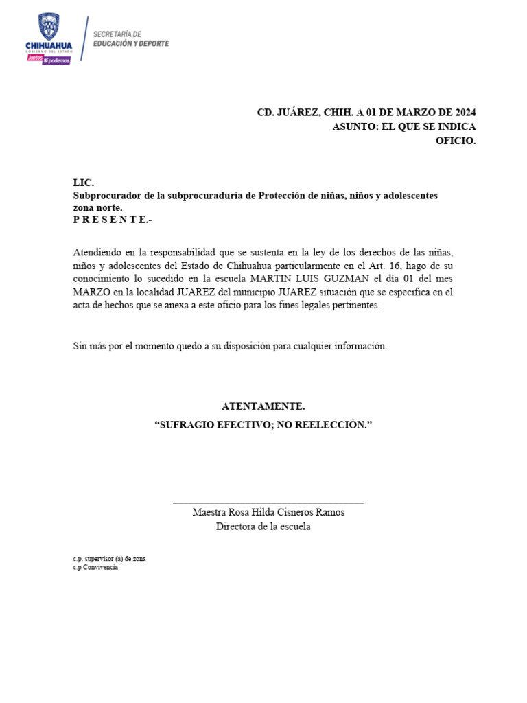 Formatos Del Protocolo | PDF