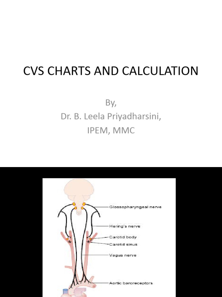 CVS Charts | PDF | Ventricle (Heart) | Heart