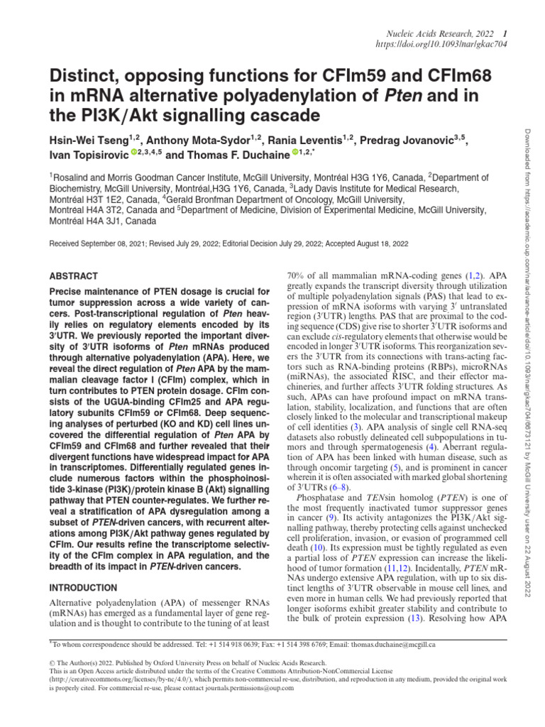 Tseng Et Al. (Pten-CFIm59-NAR) 2022 | PDF | Protein Kinase B | Gene ...