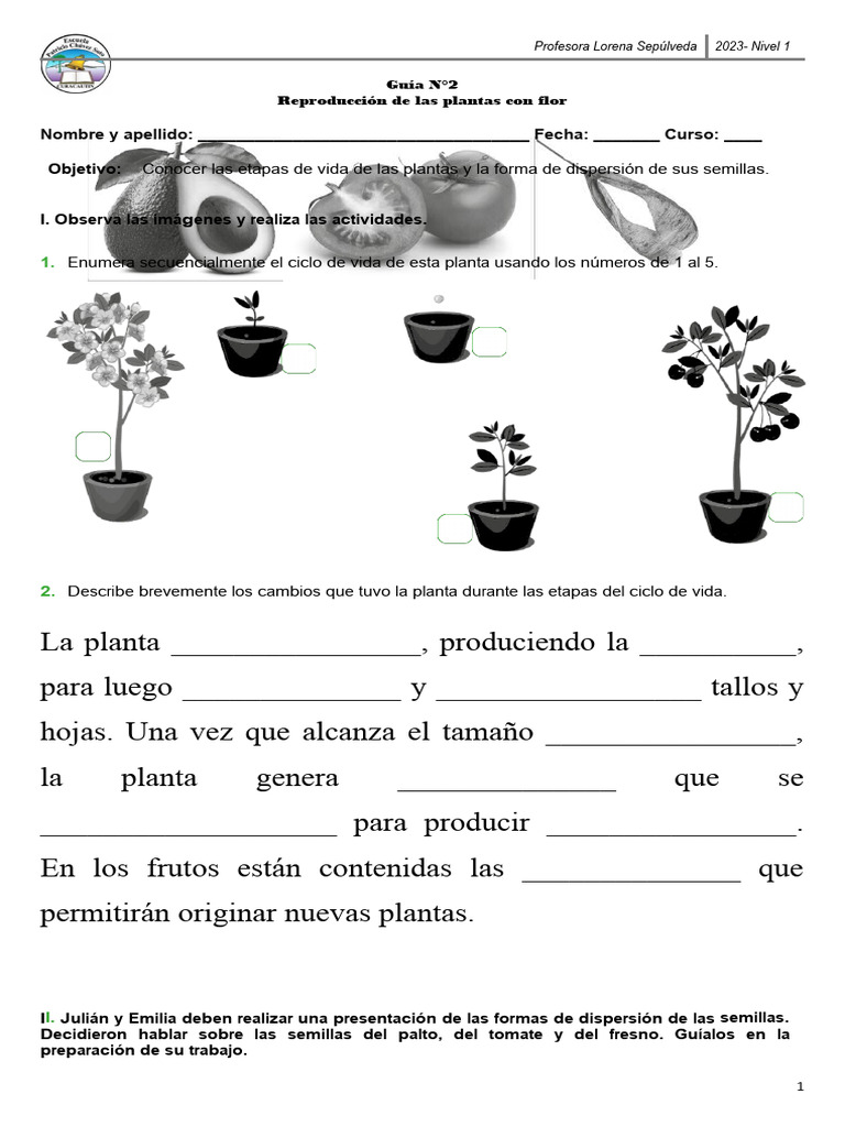 Guía N°2 Reproducción de Las Plantas Con Flor - Nivel 1 | PDF | Fruta ...