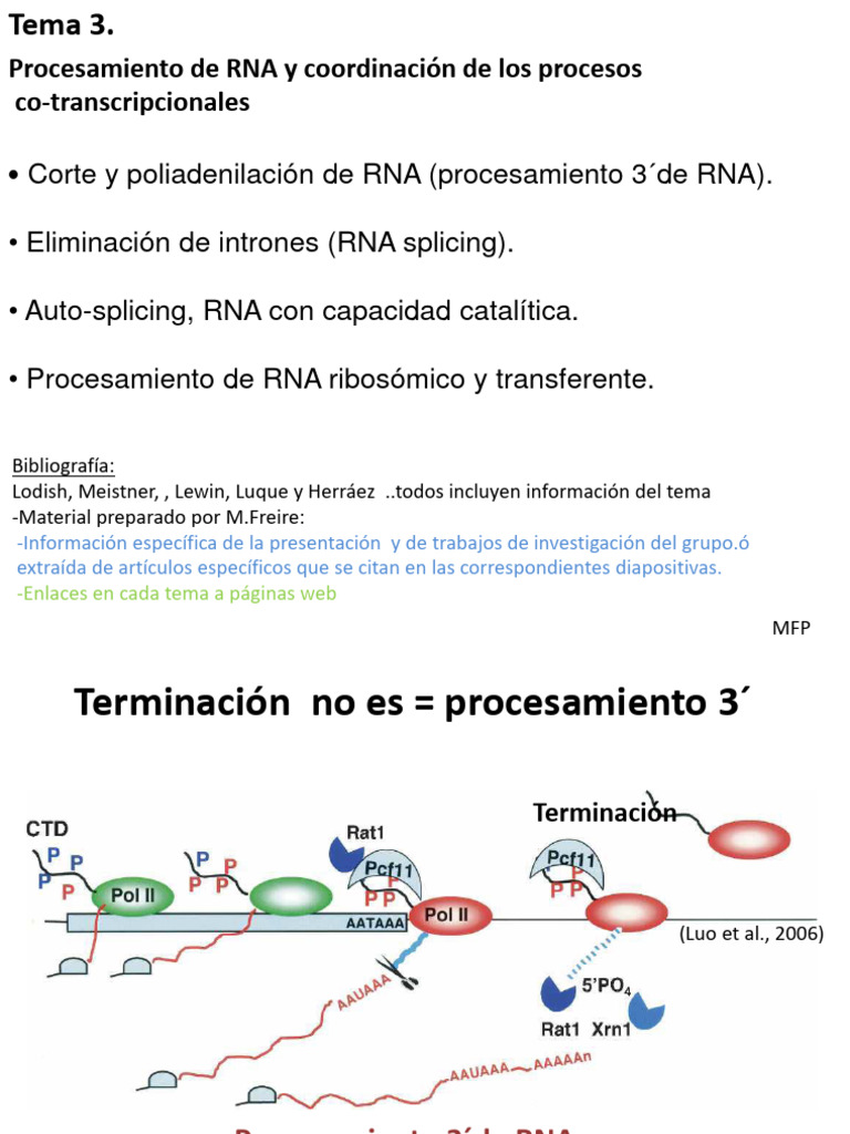 BEBE | PDF | Rna Splicing | Rna