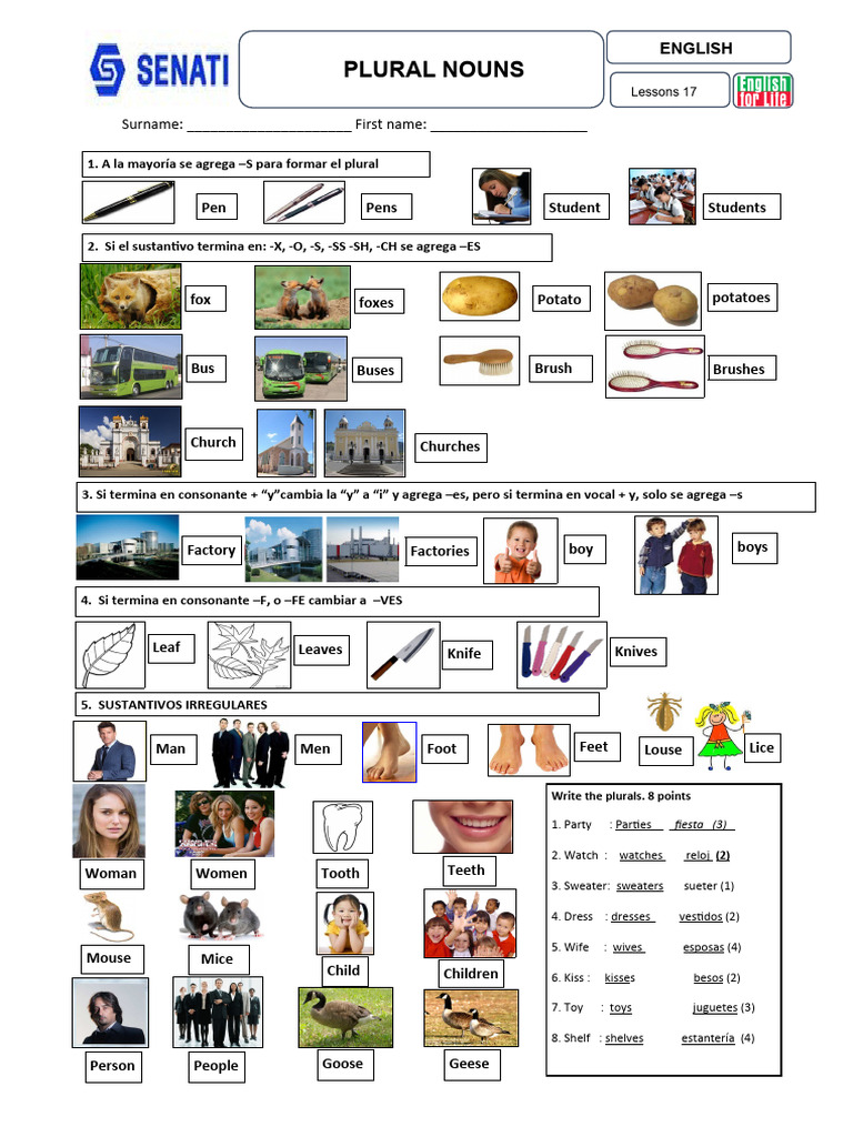 3 - A - Plural Nouns - Worksheet | PDF | Linguistic Morphology