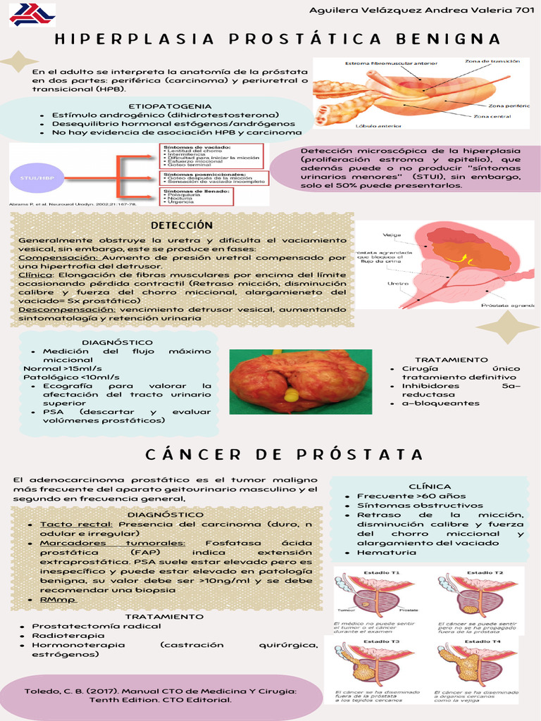 Ca Prostata | PDF | Medicina CLINICA | Especialidades Medicas