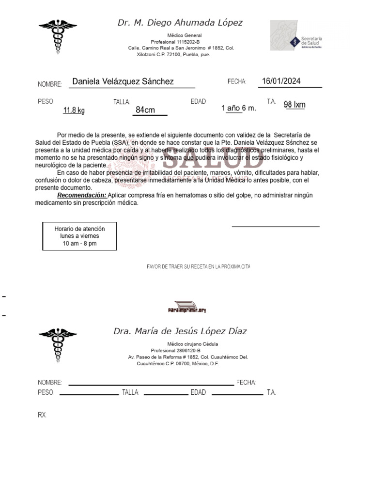 Formato de Receta Medica para Imprimir | PDF