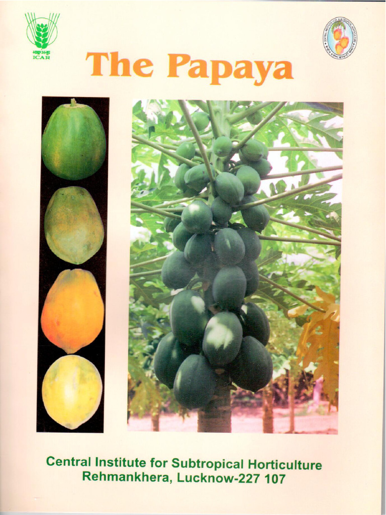 The Papaya | PDF