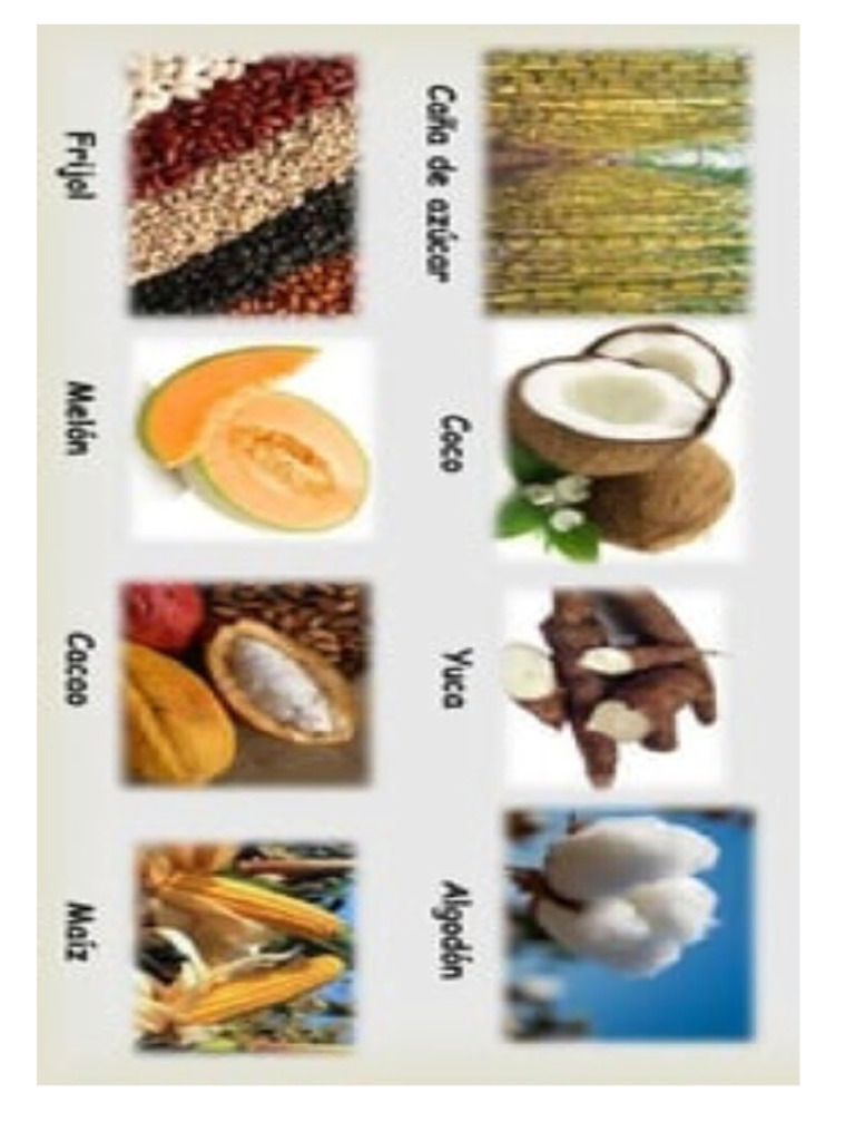 Richar Arrietaaa | PDF