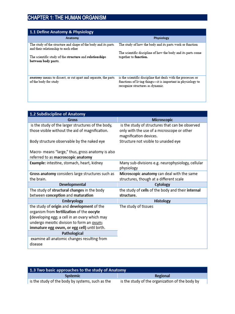 Anaphy Lecture | PDF | Tissue (Biology) | Connective Tissue