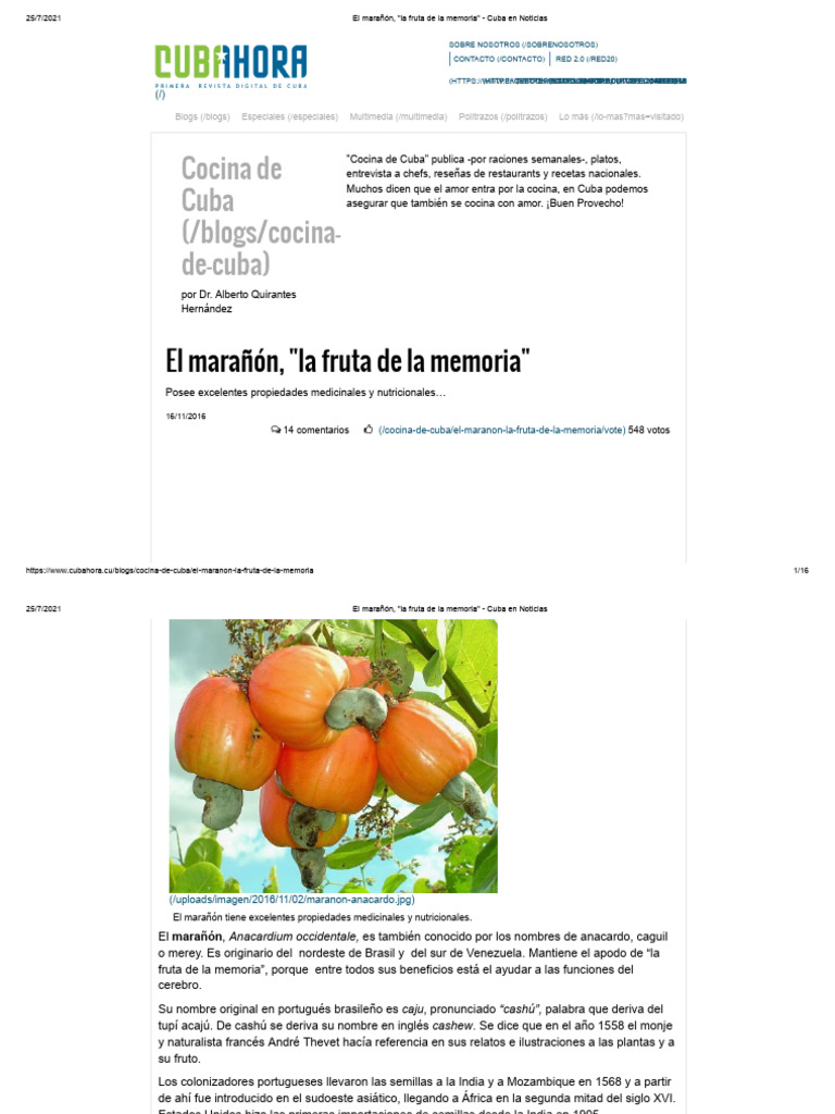 El Marañón, - La Fruta de La Memoria - Cuba en Noticias | PDF | Comida ...