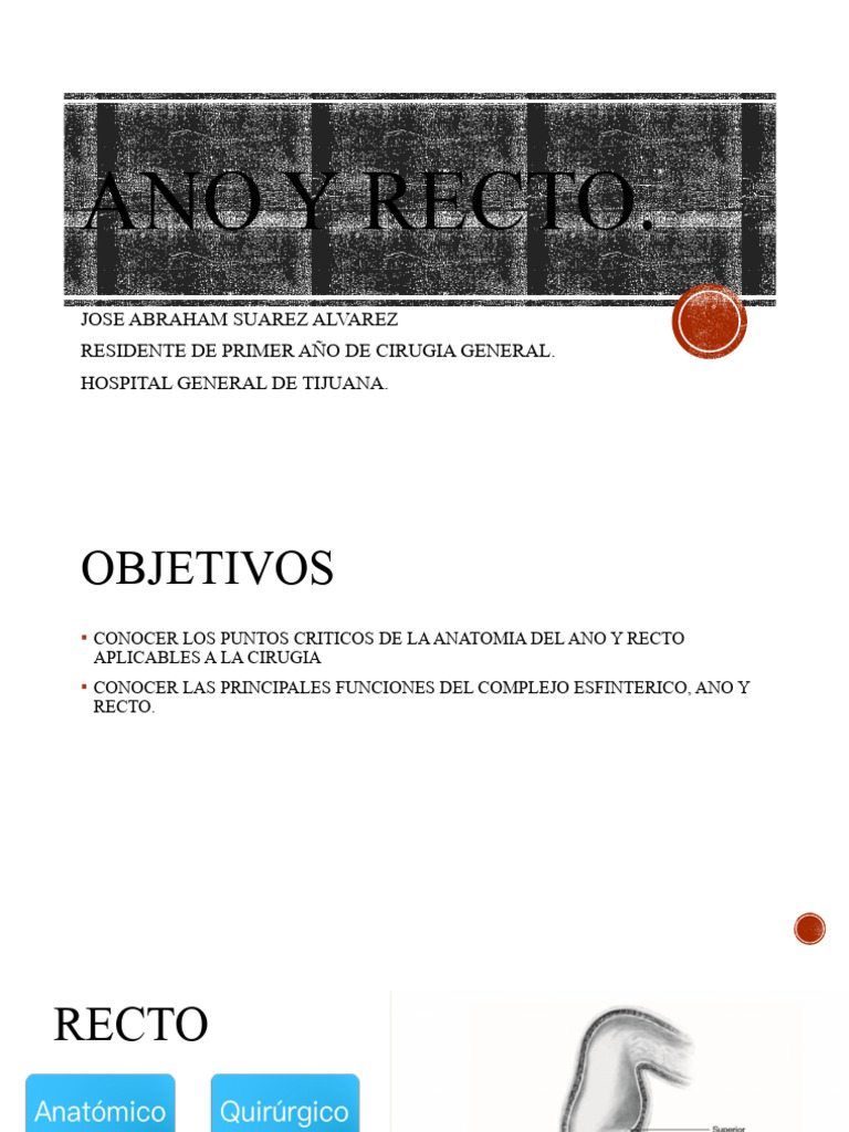 Anatomia Ano y Recto Clase | PDF | Recto | Músculo esquelético