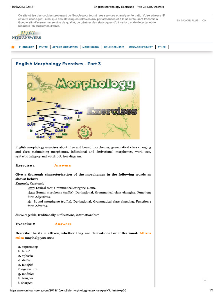 Morphology Tree Digarm Exercise | PDF