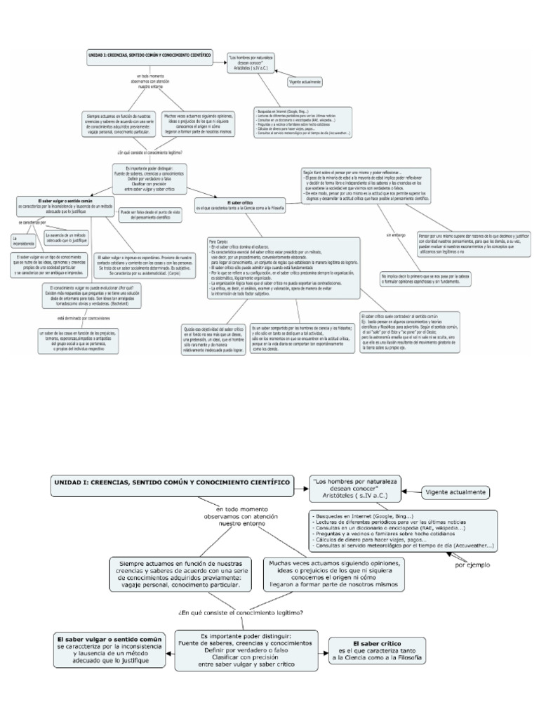 Mapa Conceptual - Unidad 1 | PDF