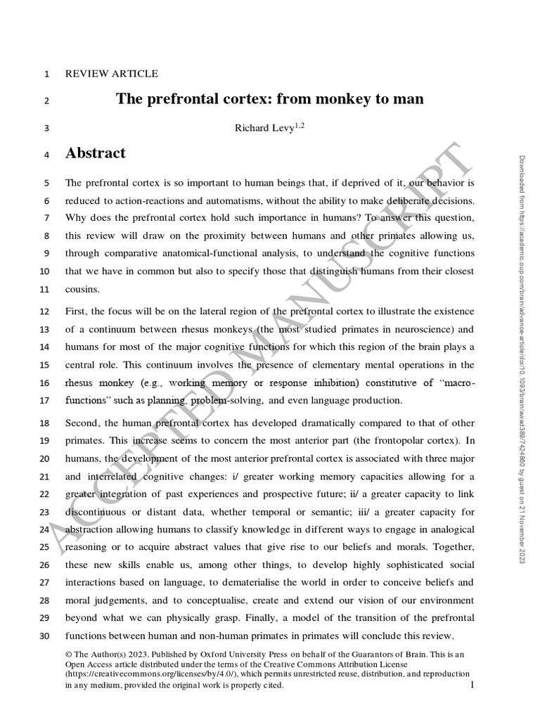 Pre Frontal Cortex | Download Free PDF | Cerebral Cortex | Prefrontal ...