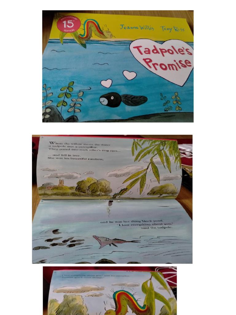 Tadpoles-Promise | PDF