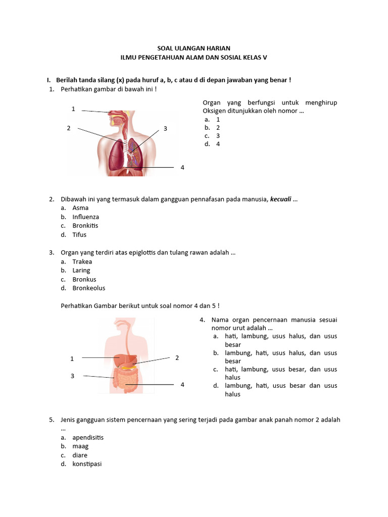 Soal Uh Ipas Kelas 5 | PDF | Ilmu Sosial | Sains & Matematika