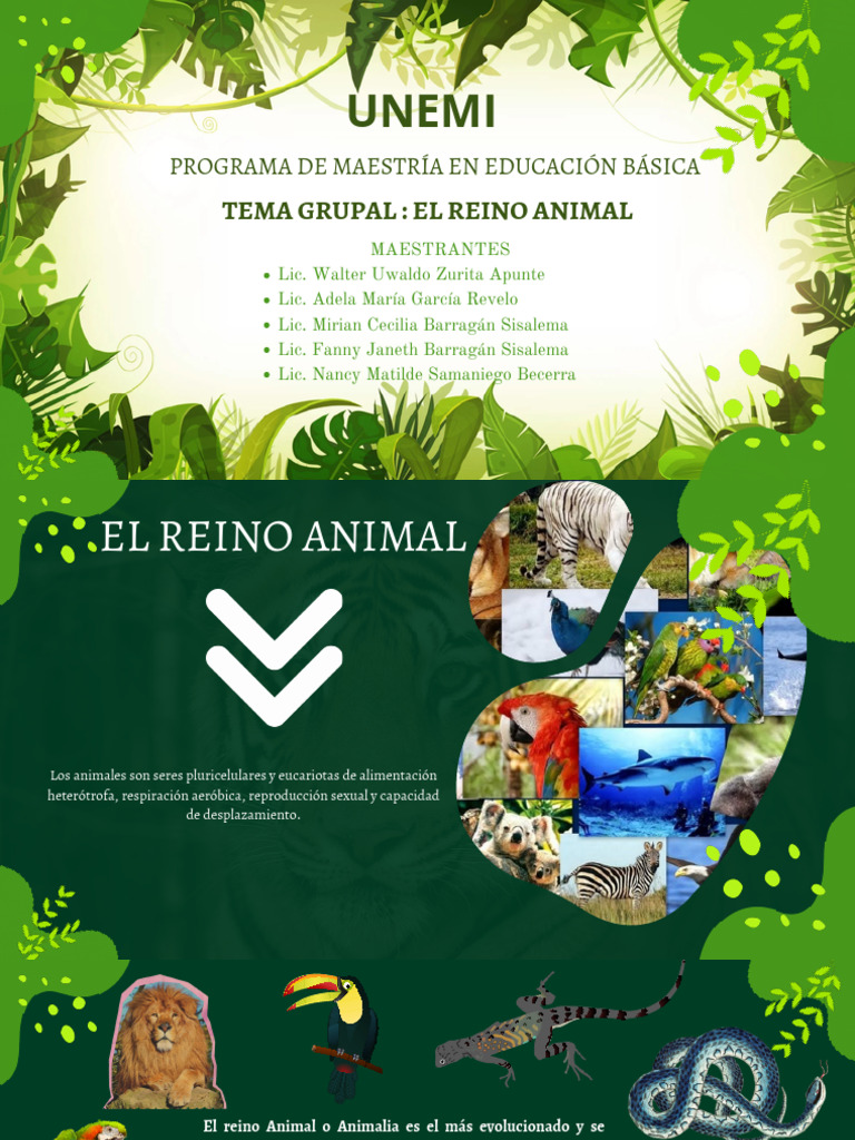 El Reino Animal | PDF | Vertebrados | Aves
