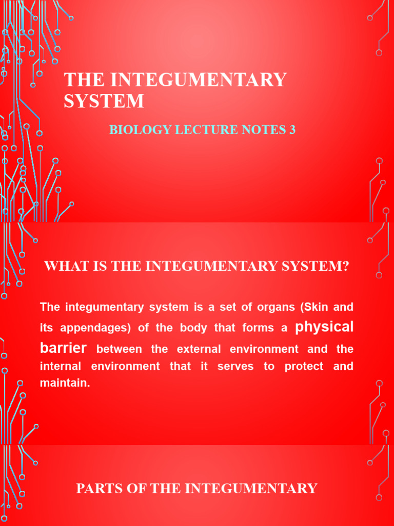 The Integumentary System-3 | PDF | Career & Growth | Wellness
