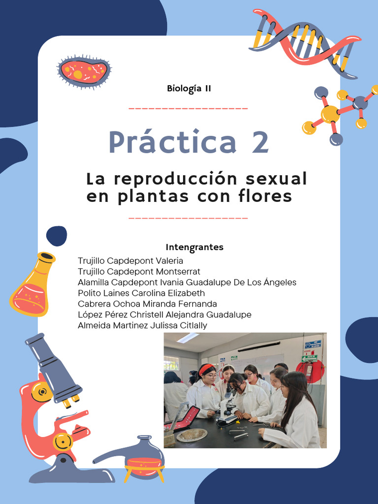 Práctica 2 | PDF | Flores | Botánica