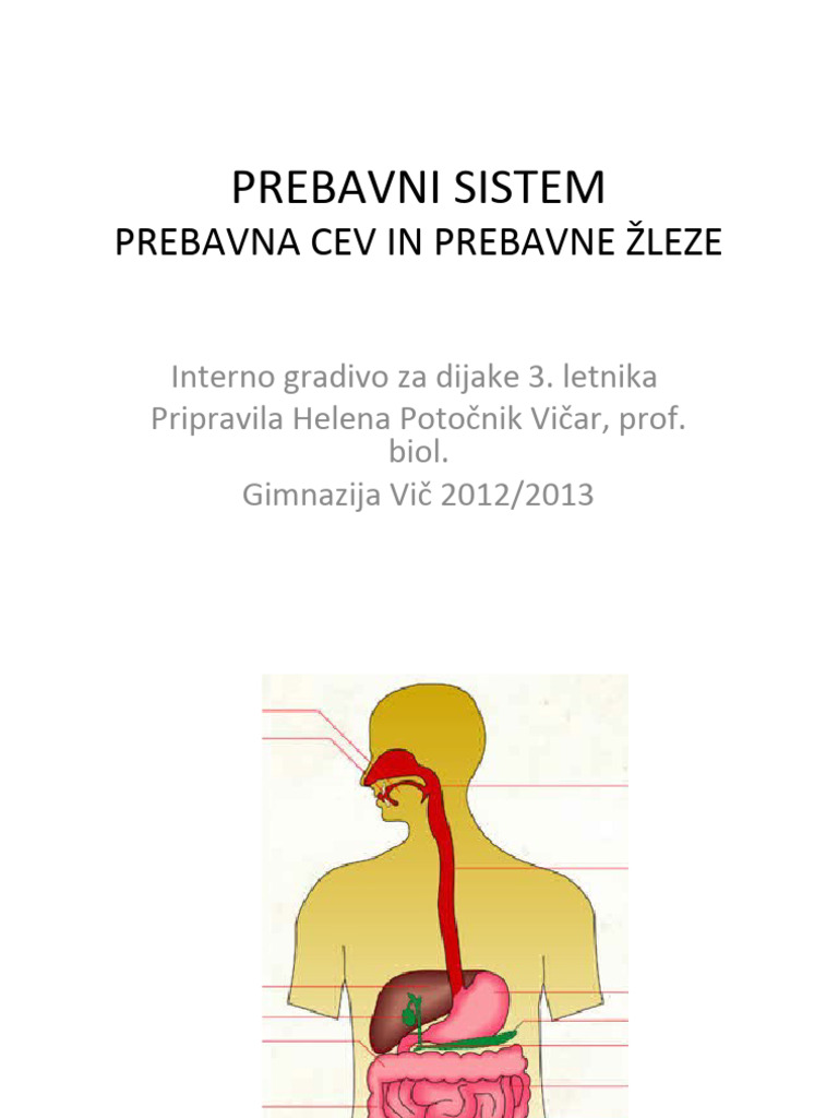 Prebavni Sistem 14 | PDF
