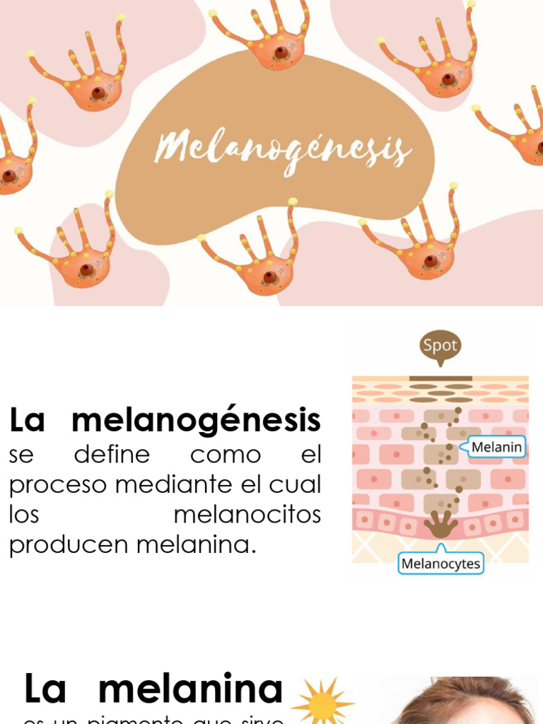 Melanogenesis I Queratinización | PDF