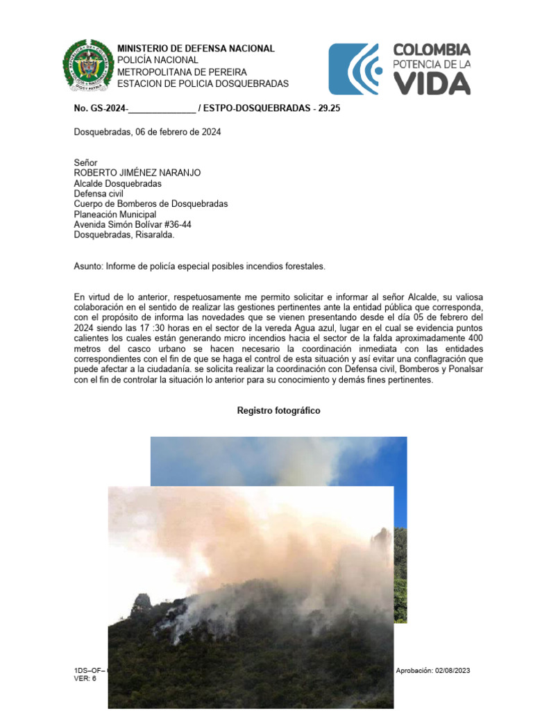 INFORME DE POLICIA ESPECIAL Desastre | PDF