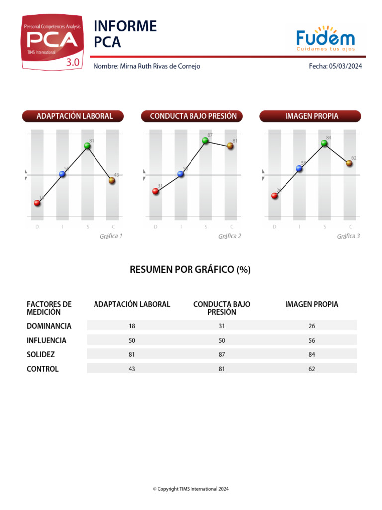 PCA - Mirna Ruth Rivas de Cornejo | PDF | Comunicación | Iniciativa ...