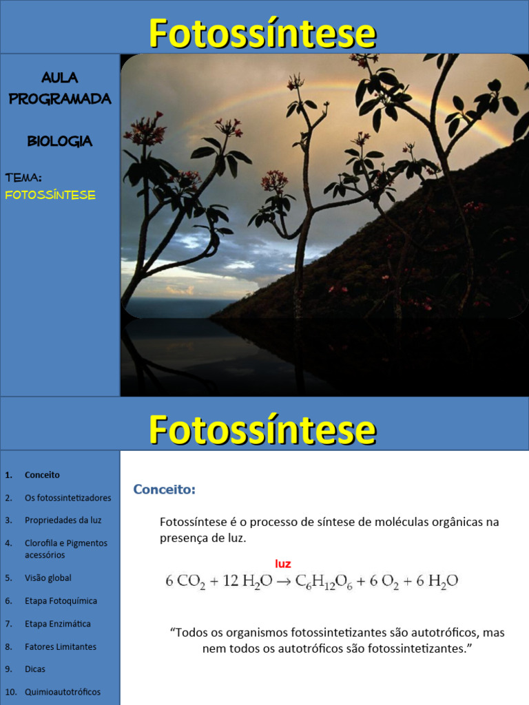 Fotossintese Quimiossintese | PDF | Clorofila | Fotossíntese