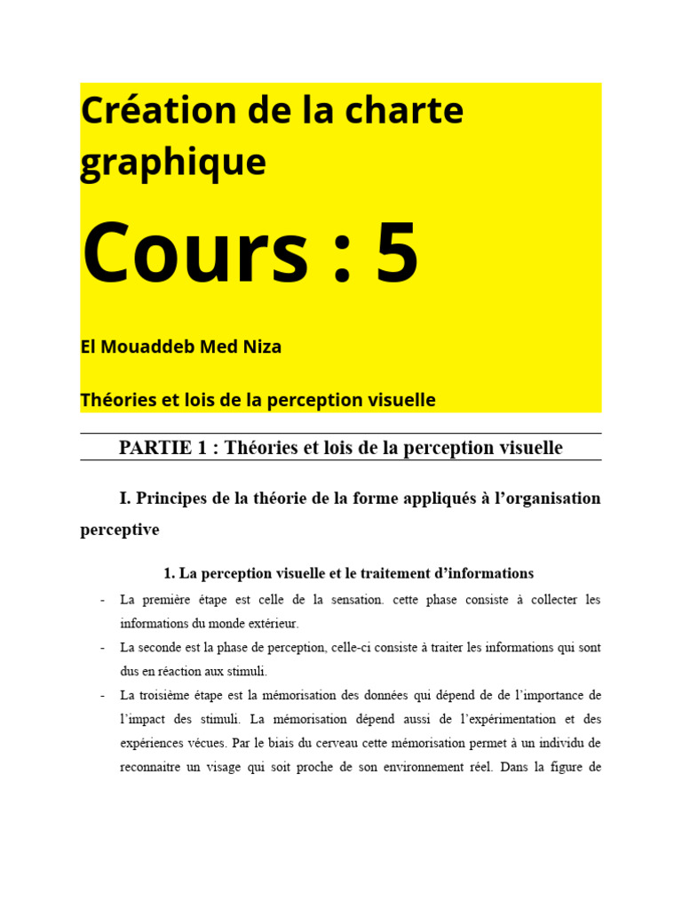 Théories Et Lois de La Perception Visuelle Cours 5 | PDF